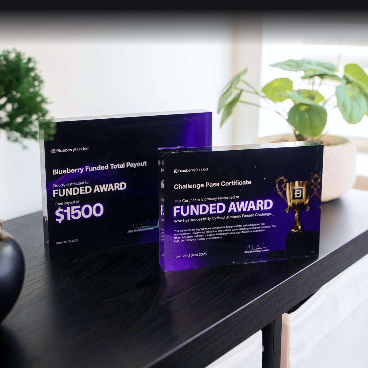 Blueberry Funded AWARD – Funded Award